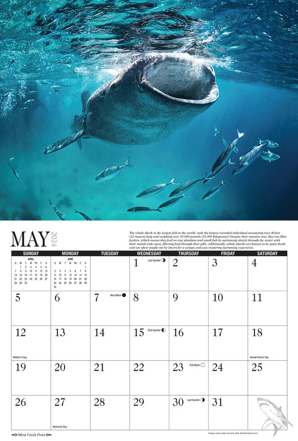 Shark Calendar 2022