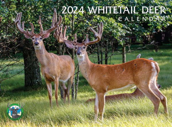 2024 Whitetail Deer Calendar - Silver Creek Press
