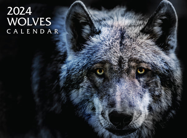 2024 Wolves Calendar - Silver Creek Press