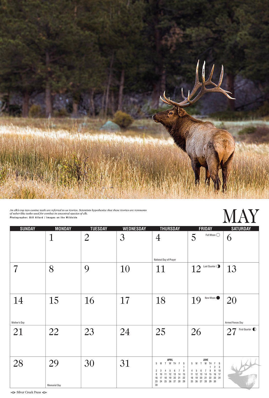 2023 Elk Calendar - Silver Creek Press